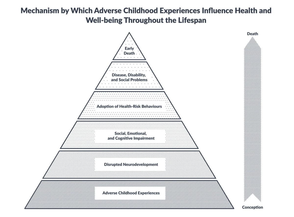 Q&A with Dr. John B. Arden, Author of 15 Brain-Based Books - HotDoc